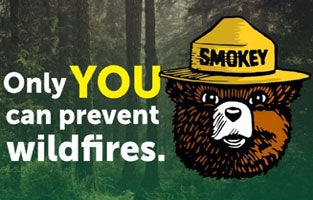 Smokey Bear – AnimationShops