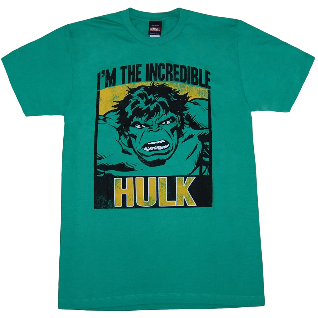 Incredible Hulk Rage Block T-Shirt – AnimationShops